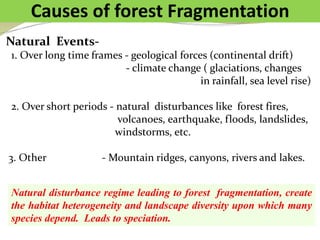Genetic aspects of forest fragmentation | PPTX