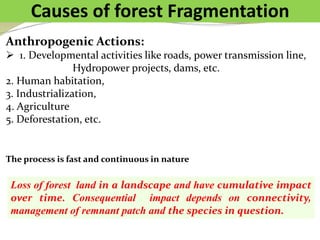 Genetic aspects of forest fragmentation | PPTX