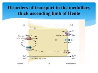 Genetic based renal transport disorder dr rani shal | PPT