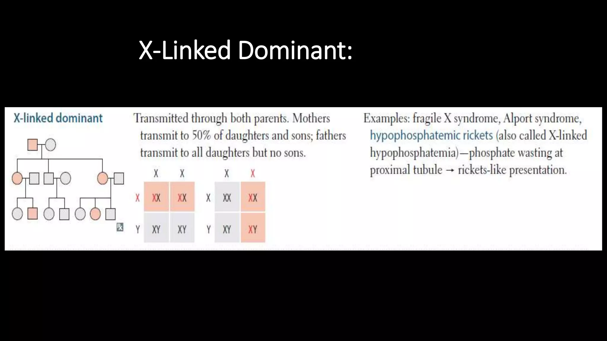 Genetic basics | PPT