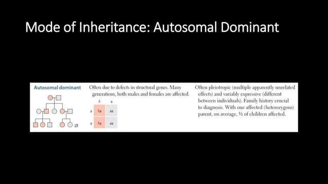 Genetic basics | PPT