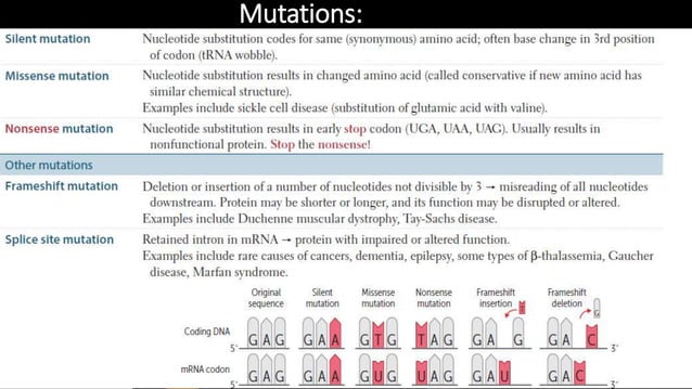 Genetic basics | PPT