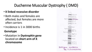 Genetic Basis & Clinical Features of Achondroplasia [Autosaved].pptx