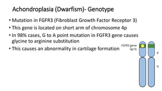 Genetic Basis & Clinical Features of Achondroplasia [Autosaved].pptx