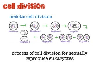 Genetic basis for development | PDF