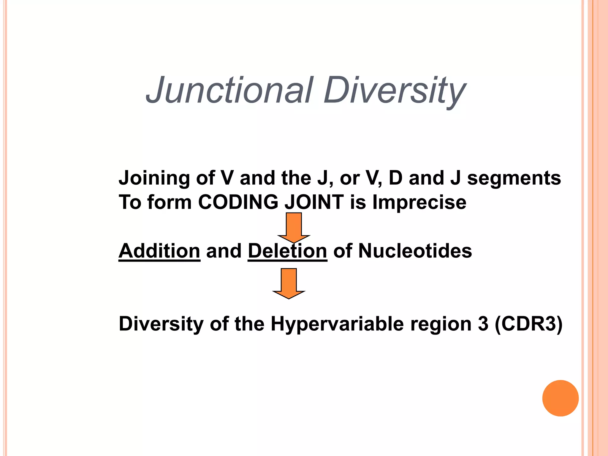 Genetic basis of antibody diversity | PPTX