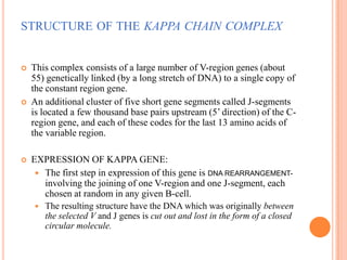 Genetic basis of antibody diversity | PPTX