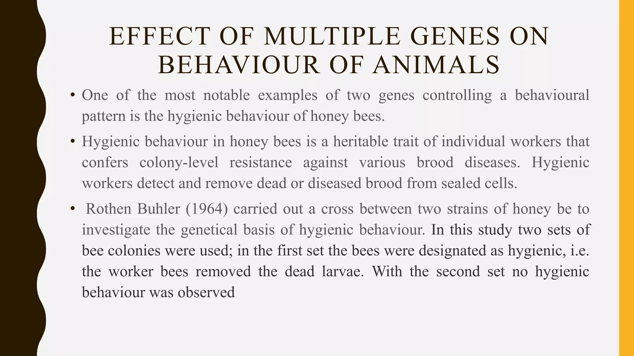 Genetic basis of behaviour | PPTX | Genetics | Science