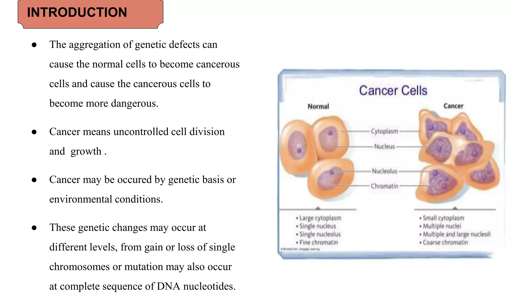 Genetic basis of cancer | PPTX
