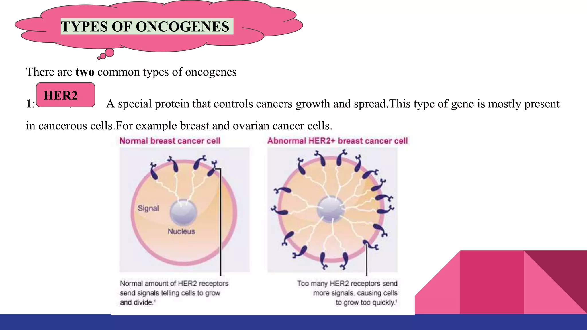 Genetic basis of cancer | PPTX