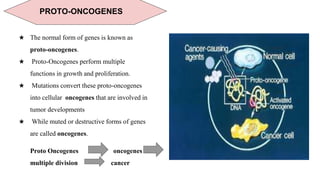 Genetic basis of cancer | PPTX