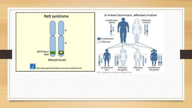 Genetic basis of epilepsy | PPTX | Brain and Nervous System Disorders ...