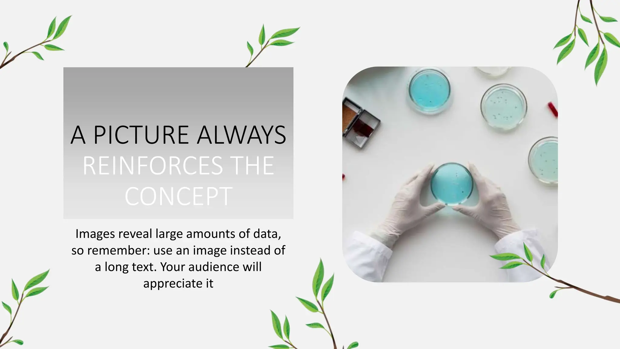 Genetic Basis of Evolution, powerpoint presentation | PPTX