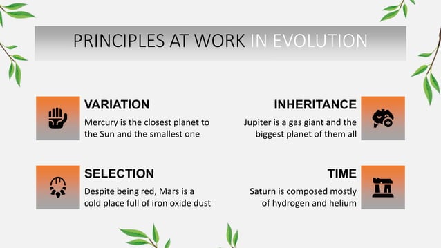 Genetic Basis of Evolution, powerpoint presentation | PPTX