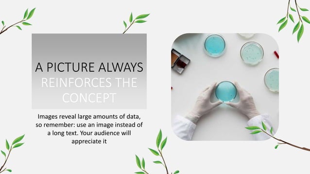 Genetic Basis of Evolution, powerpoint presentation | PPTX