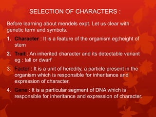 Genetic basis of inheritance | PPTX