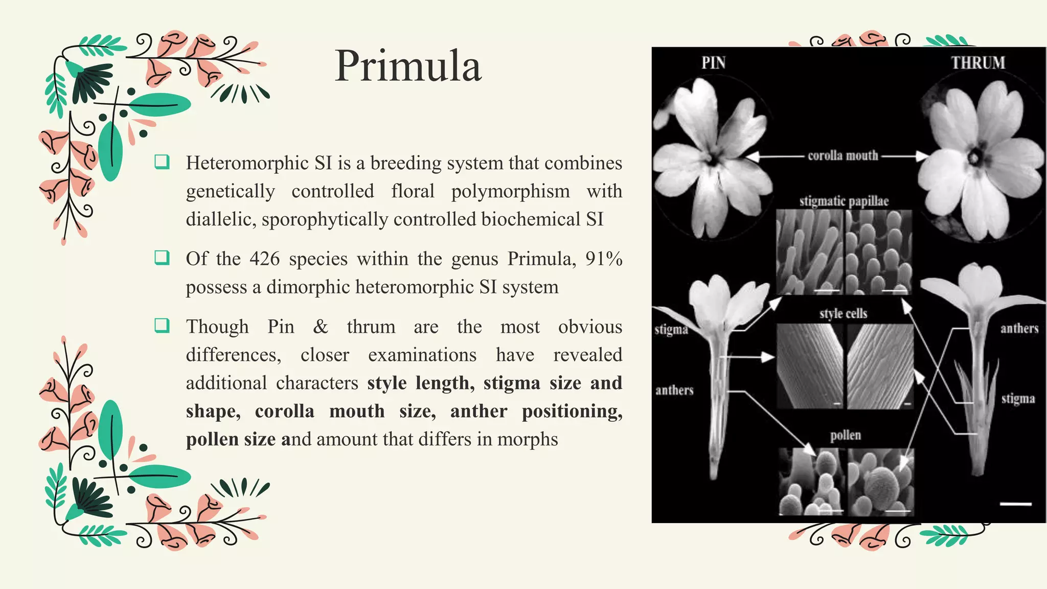 Genetic, biochemical and molecular mechanism SI and factors causing breakdown of it..pptx