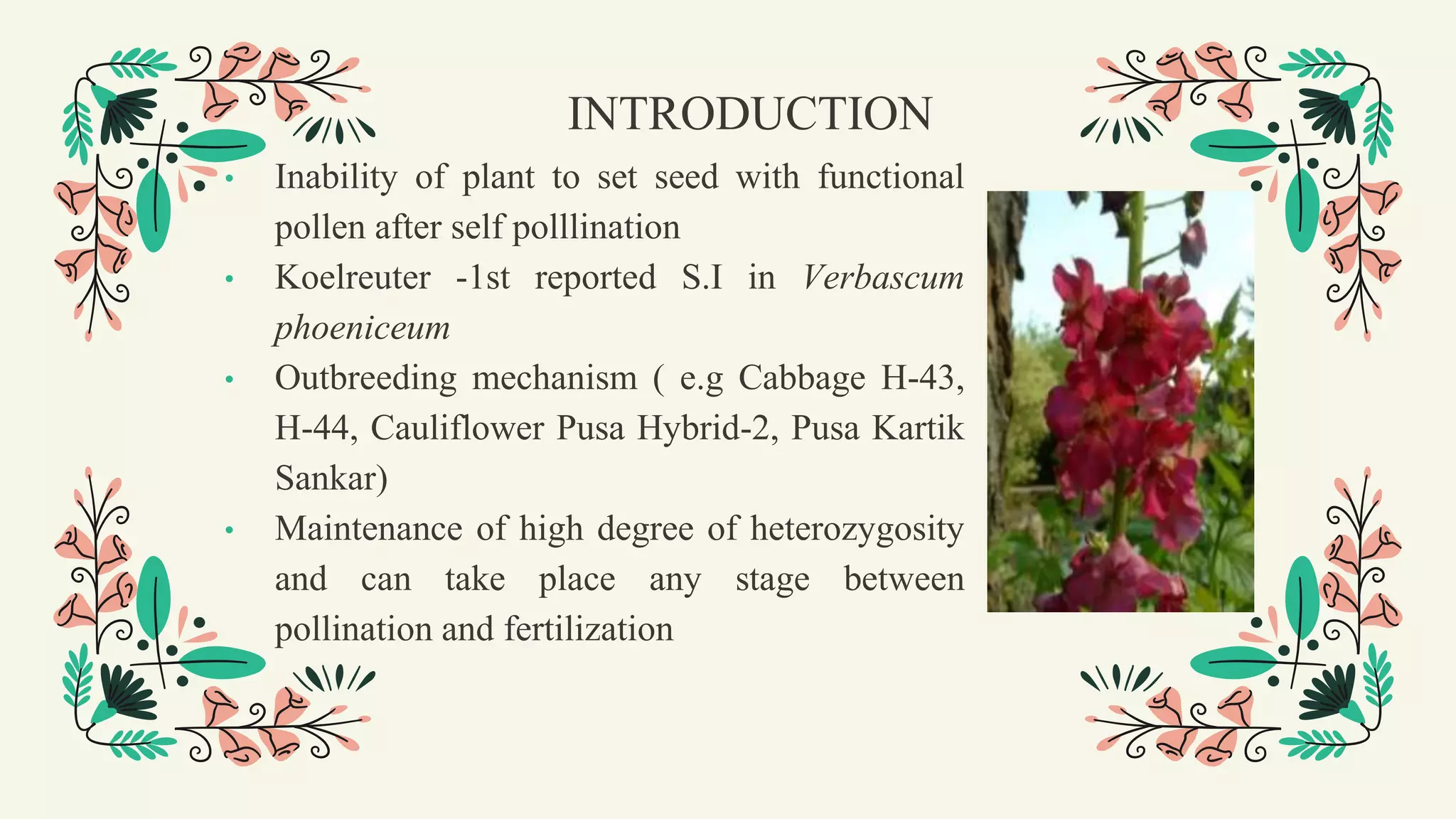 Genetic, biochemical and molecular mechanism SI and factors causing ...