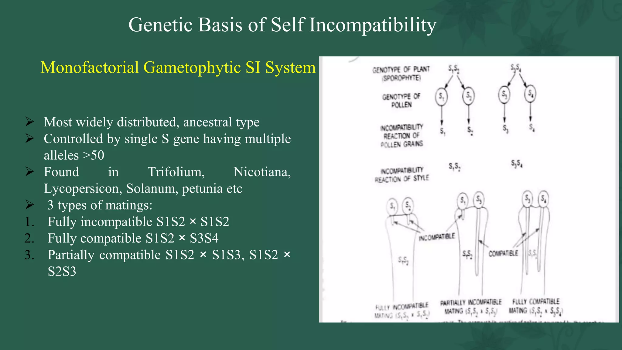 Genetic, biochemical and molecular mechanism SI and factors causing ...
