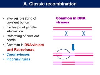 Genetic changes in the viral genome | PPTX