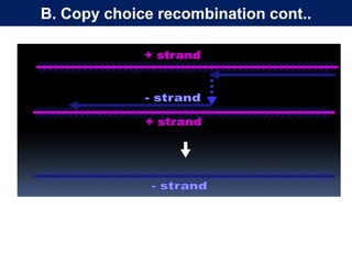 Genetic changes in the viral genome | PPTX