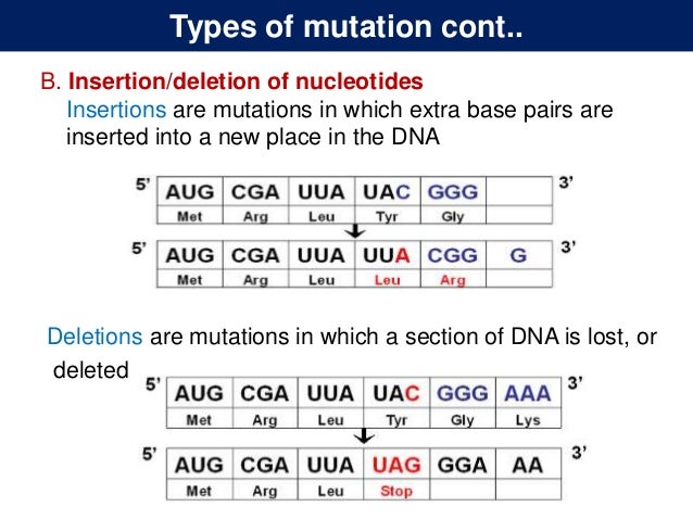 Genetic changes in the viral genome