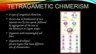 Genetic Chimerism | PPTX