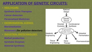 Engineering Novel GENETIC CIRCUIT.pptx