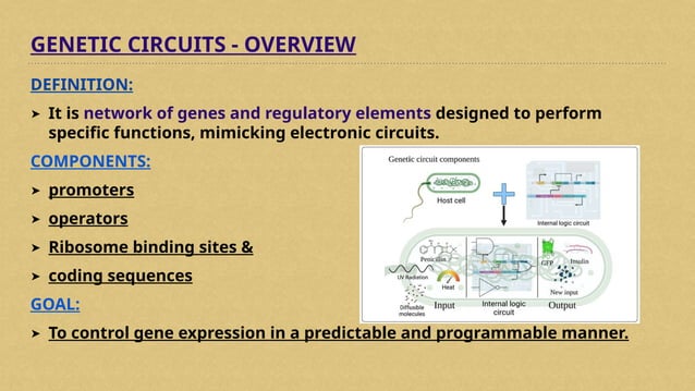 Engineering Novel GENETIC CIRCUIT.pptx