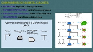 Engineering Novel GENETIC CIRCUIT.pptx