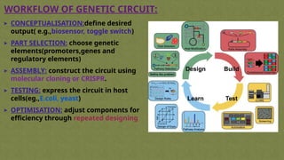 Engineering Novel GENETIC CIRCUIT.pptx