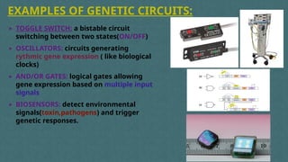 Engineering Novel GENETIC CIRCUIT.pptx