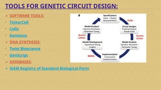 Engineering Novel GENETIC CIRCUIT.pptx