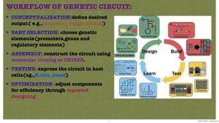 Synthetic biology and GENETIC CIRCUIT.pdf