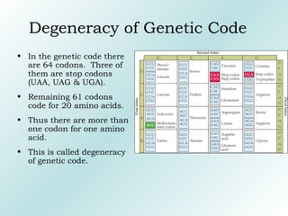 Genetic code | PPT