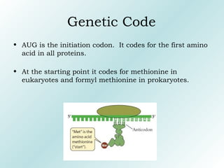 Genetic code | PPT