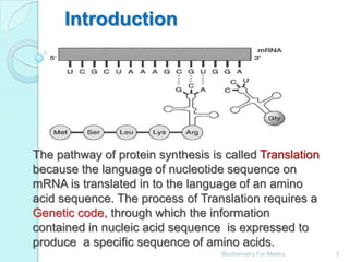 Genetic code | PPT
