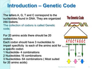 Codon Definition