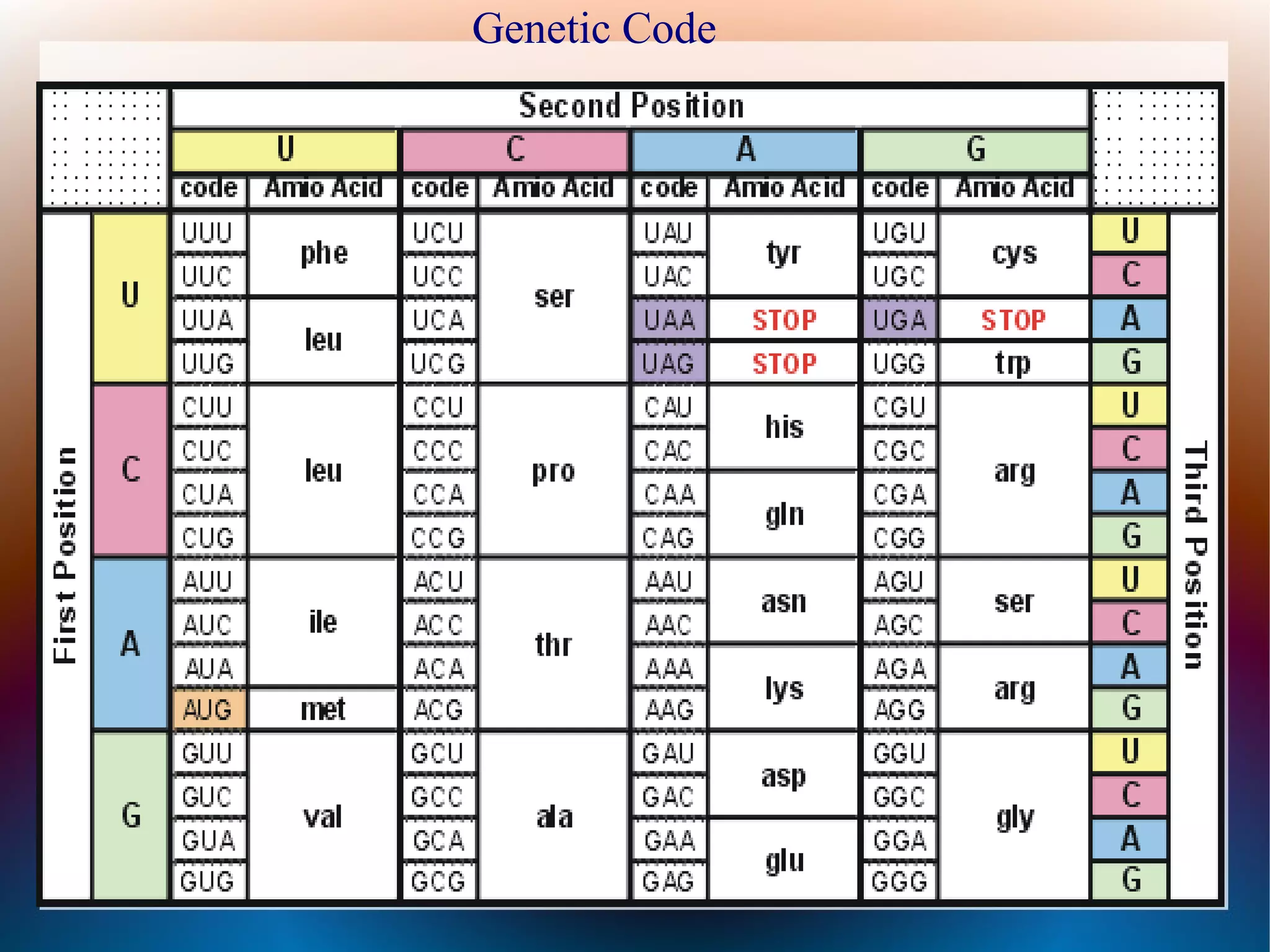 Genetic code | PDF
