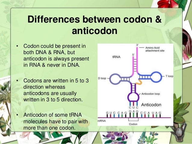 Genetic code Genetic code