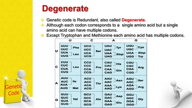 Genetic code - | PPSX | Programming Languages | Computing