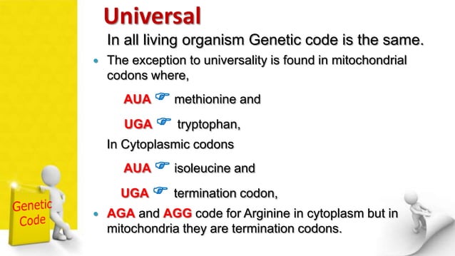 Genetic code - | PPSX | Programming Languages | Computing