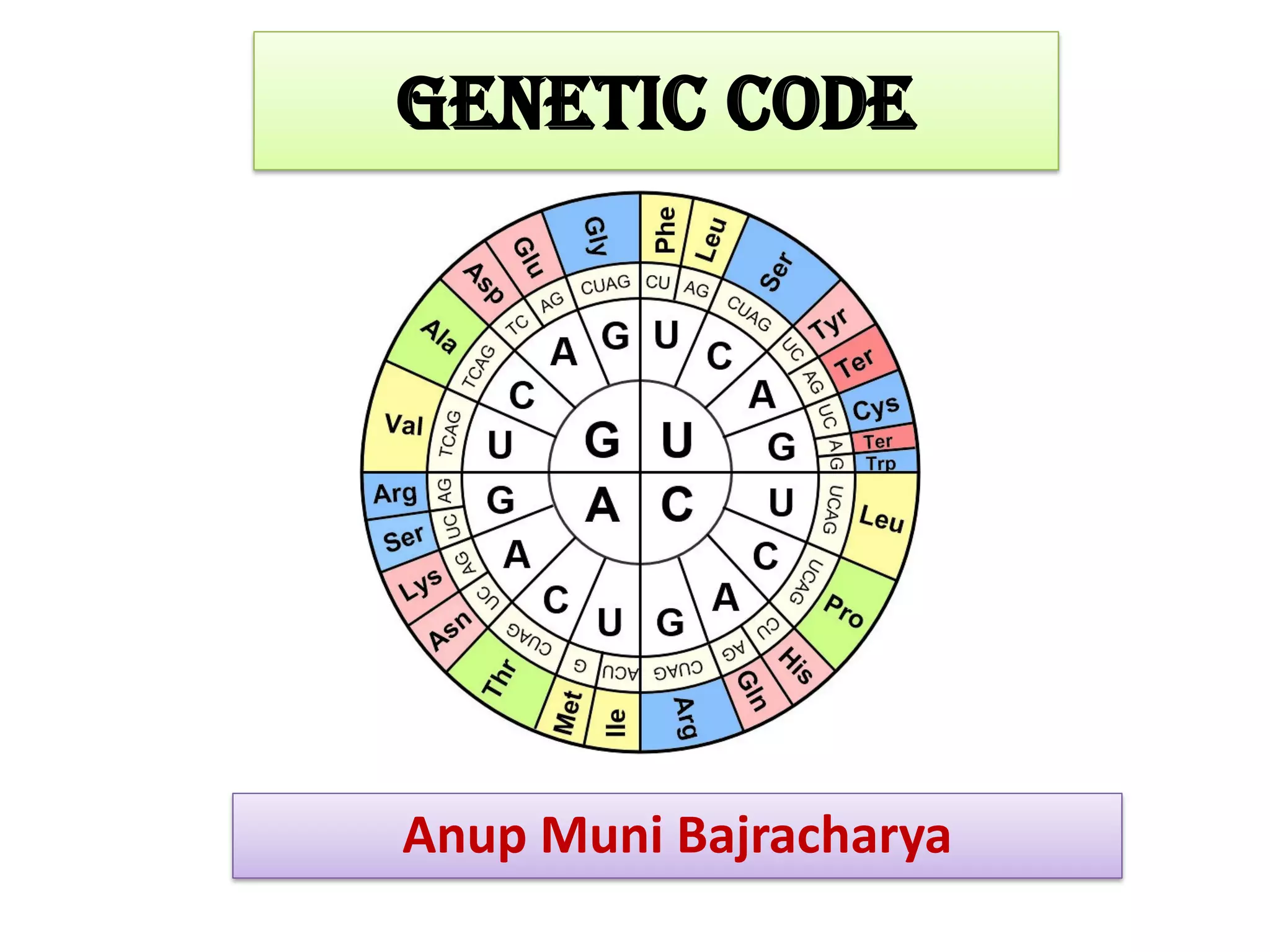 Genetic code and its properties | PDF
