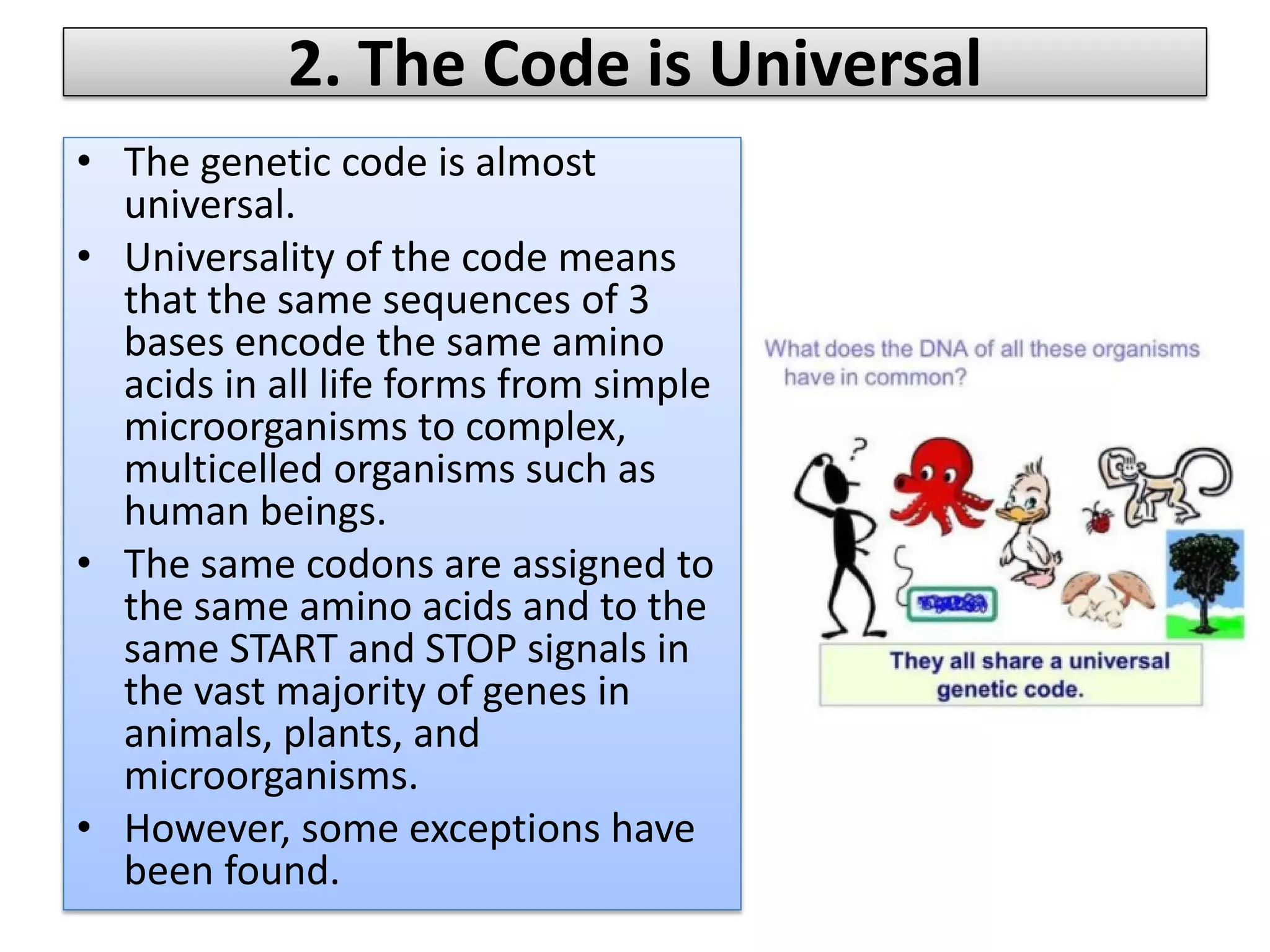 Genetic code and its properties | PDF