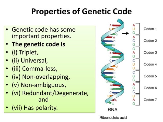 Genetic code and its properties | PDF