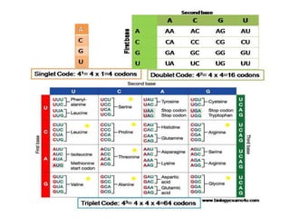 Genetic code and its properties | PDF