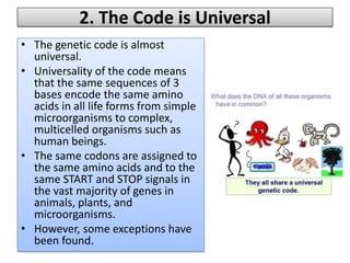 Genetic code and its properties | PDF