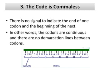 Genetic code and its properties | PDF