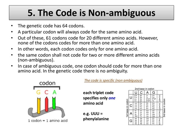 Genetic code and its properties | PDF