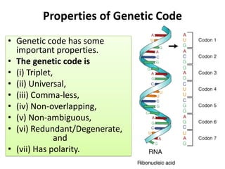 Genetic code and its properties | PPT